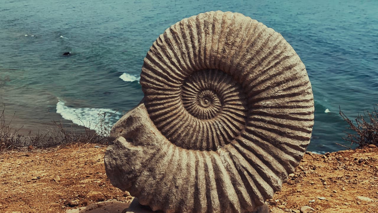 Aranymetszés a természetben - Amonstone